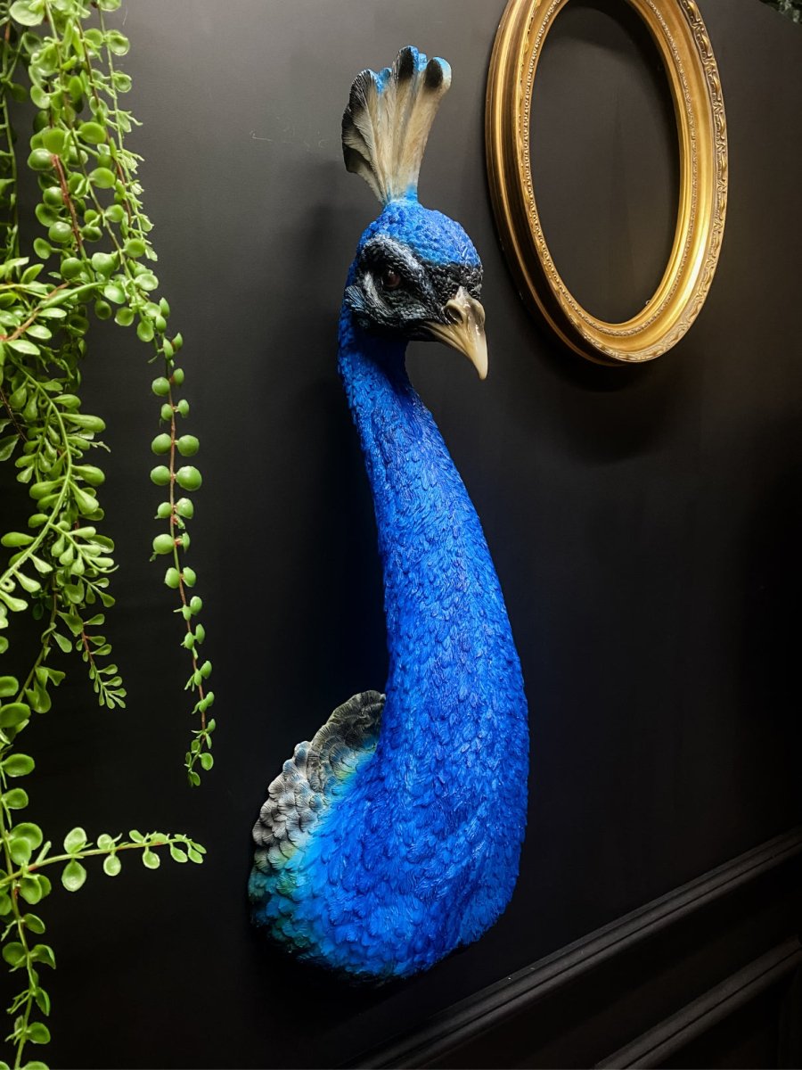Peacock Head Wall Figure | Punk & Poodle