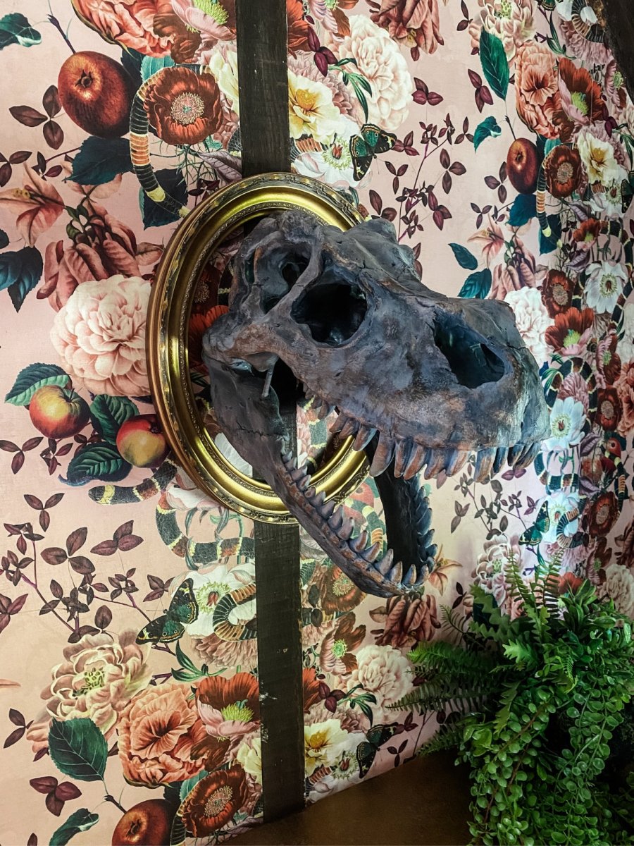T-Rex Dinosaur Skull Wall Head | Punk & Poodle