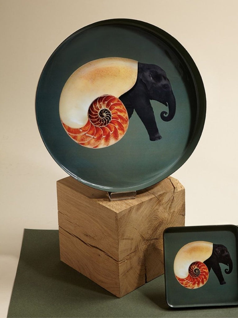 Gangzai Shellephant Round Tray | Punk & Poodle