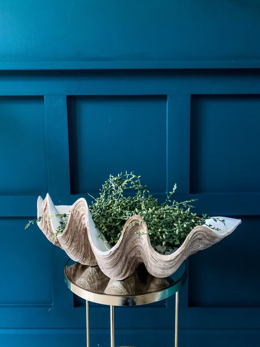 Large Clam Shell Display Bowl | Punk & Poodle