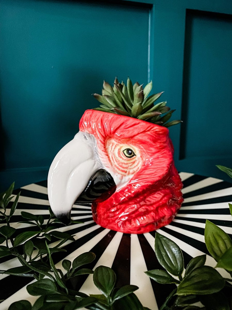 Macaw Parrot Head Ceramic Planter Storage Jar – Punk & Poodle