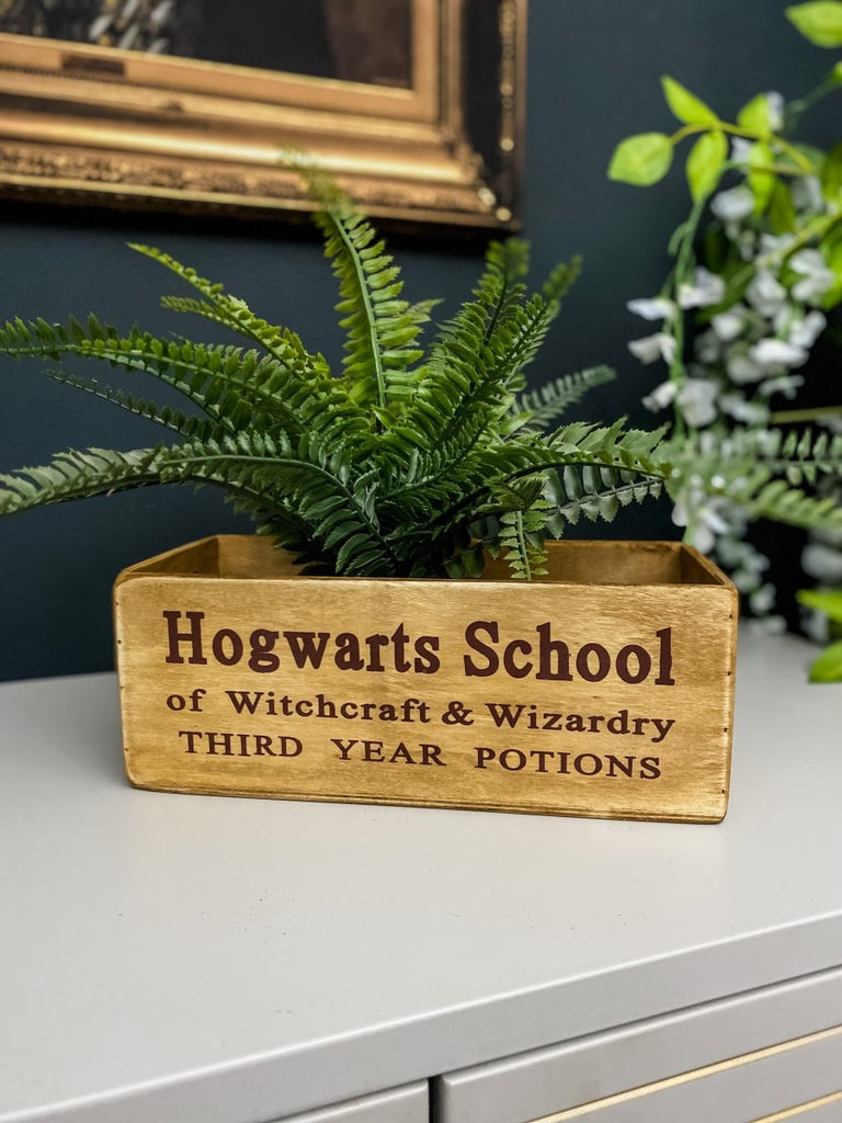 Witchcraft & Wizardry Potions Wooden Storage Box – Punk & Poodle